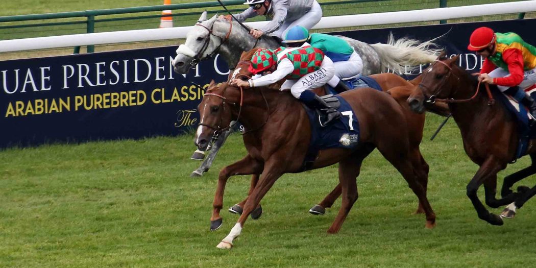 European leg of President of UAE Cup World Race Series for Purebred ...