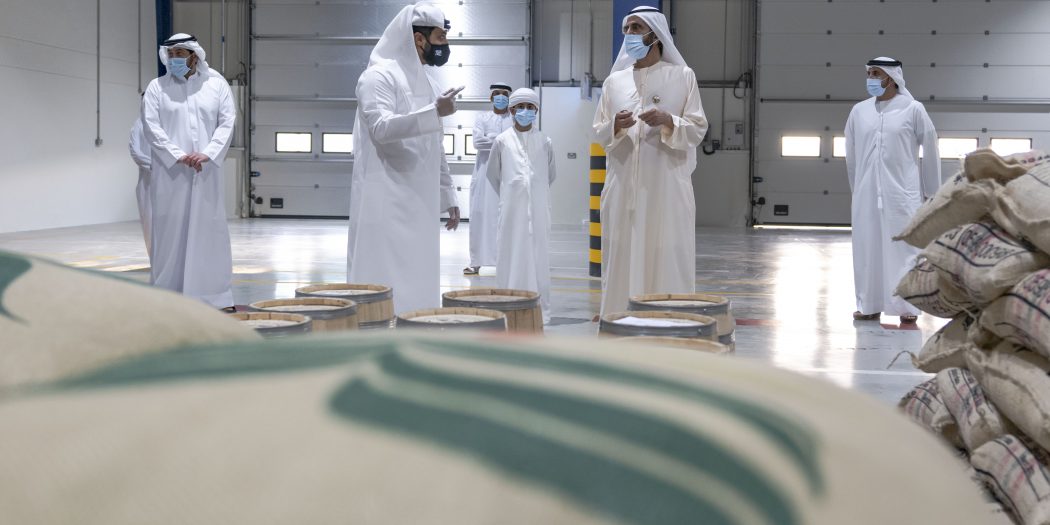 UAE’s resilience in face of challenges help it achieve its strategic ...