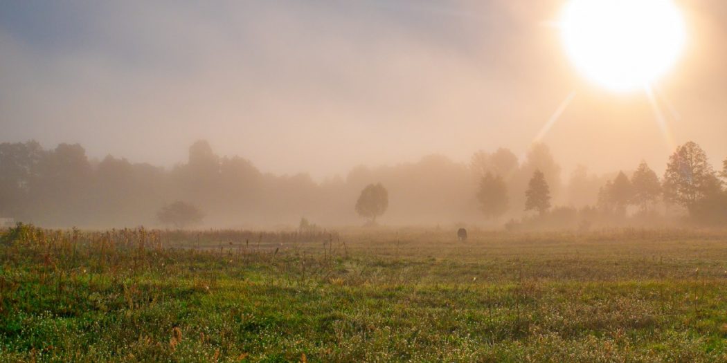 Increase in temperature with a probability of mist formation – UAE BARQ