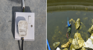 Two Die of Electrocution while Maintaining Ornamental Fish Pond – UAE BARQ