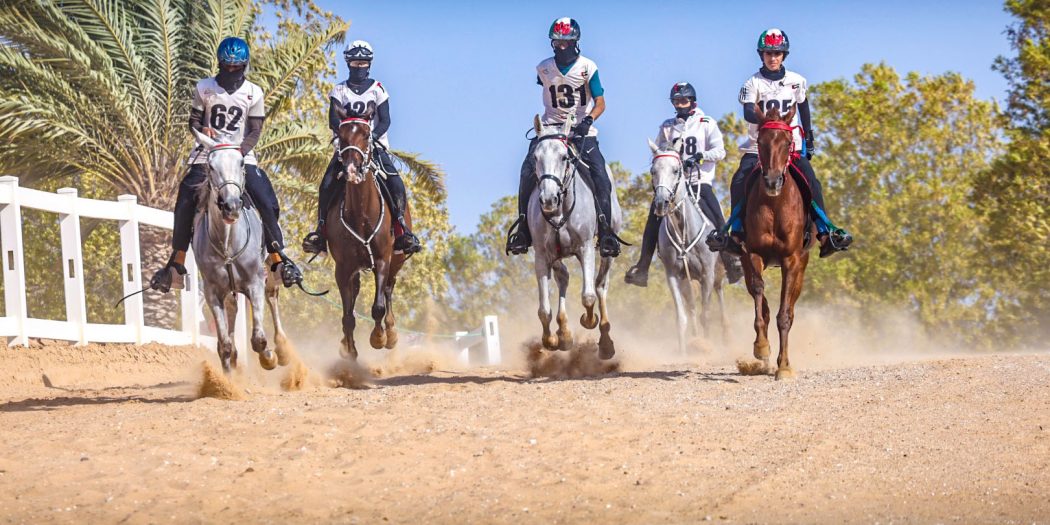 Mansour bin Zayed approves 2022-2023 season programme of Emirates ...
